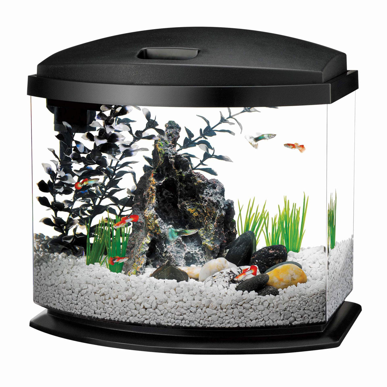 MiniBow LED Aquarium Kit 1 Gallon – InfiniteWags