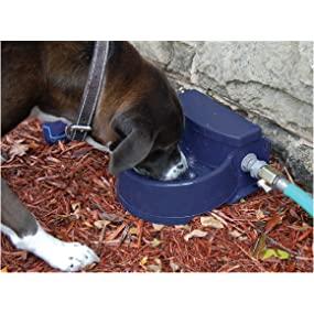 Automatic Filling Water Bowl for Pets - Bergan Auto-Wata